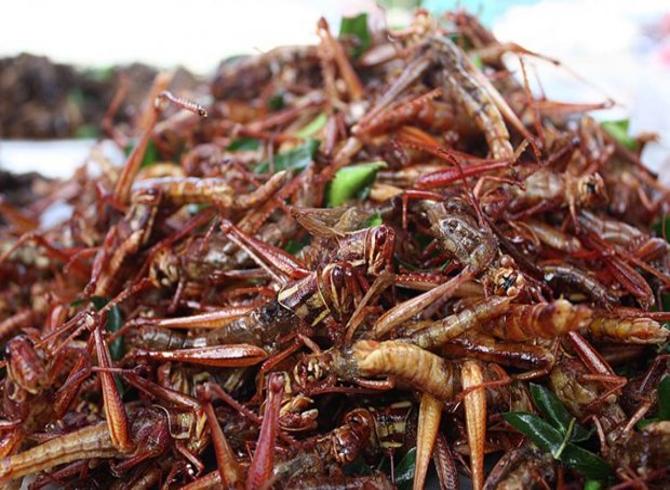 Thai Fried Insects | Walking & Food tour